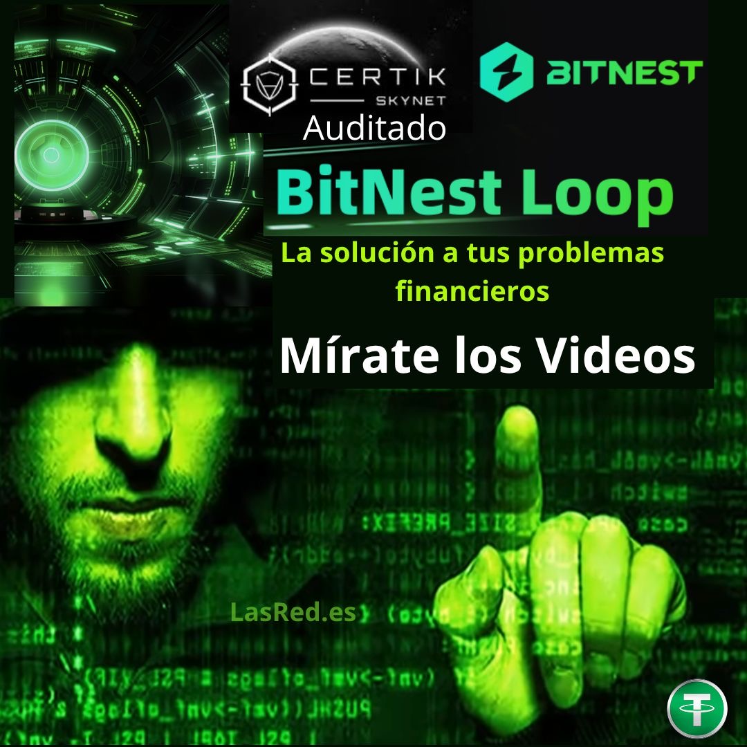 Lo importante BitNest · BitNest GT