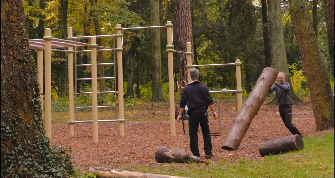 Nehmt ihr MSM · Natur Self-Improvement