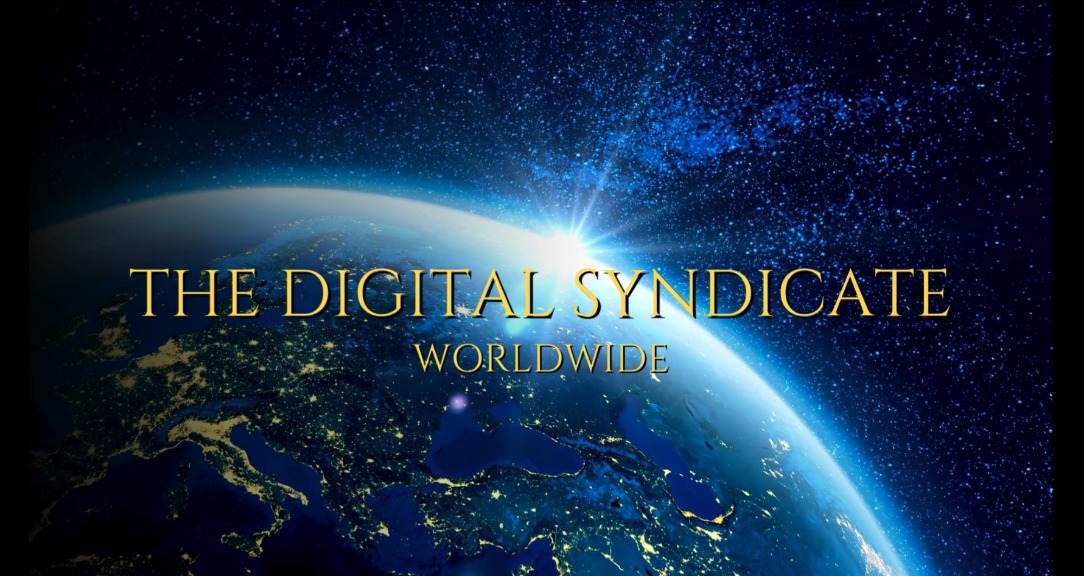 🌎New Syndicate Members Onboarding · The Digital Syndicate