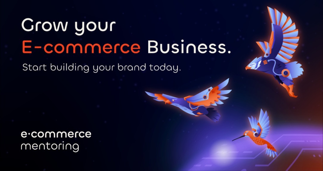 E-commerce Mentoring