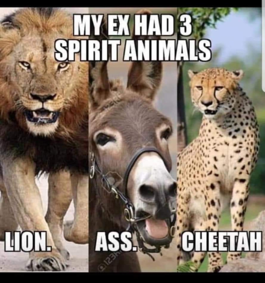 Meme Theme · WISE Revitalize💥BOOST 🚀