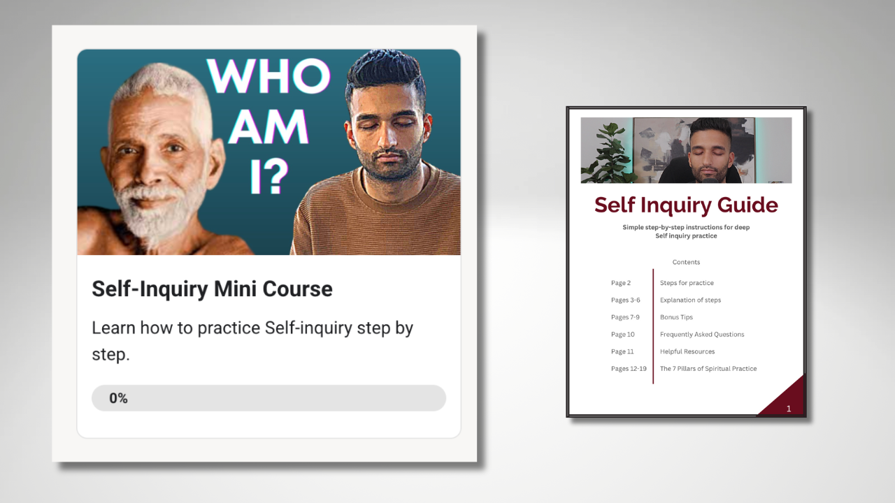 Self Inquiry Support Group