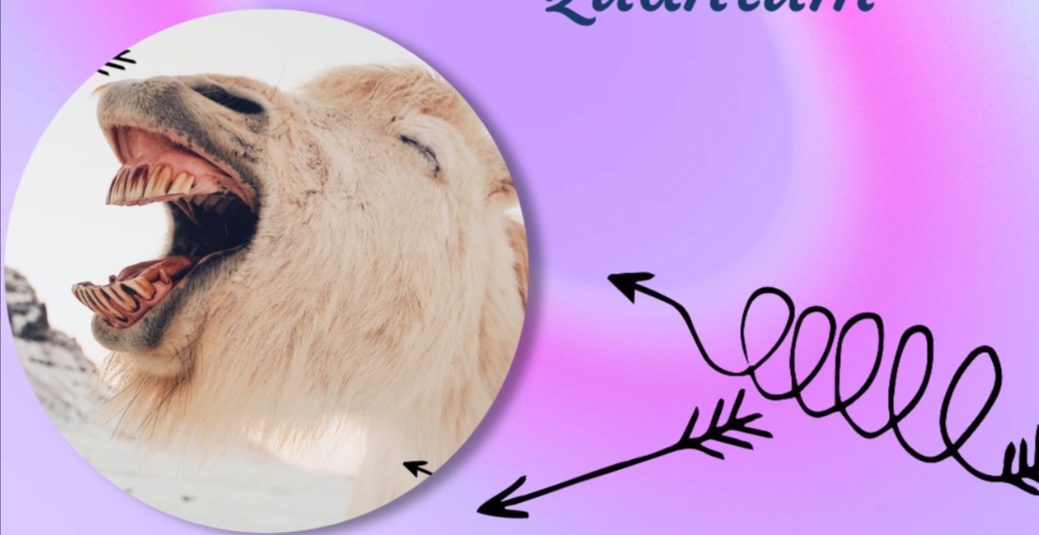 Class Schedule on Website link Below - Hold on Nov.-Shits about to go ...