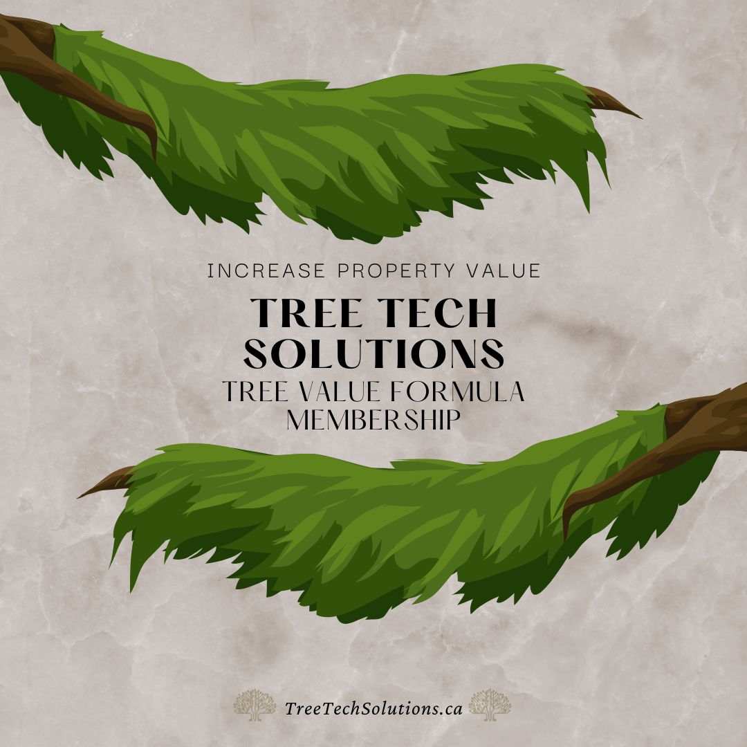 Tree Tech Solutions