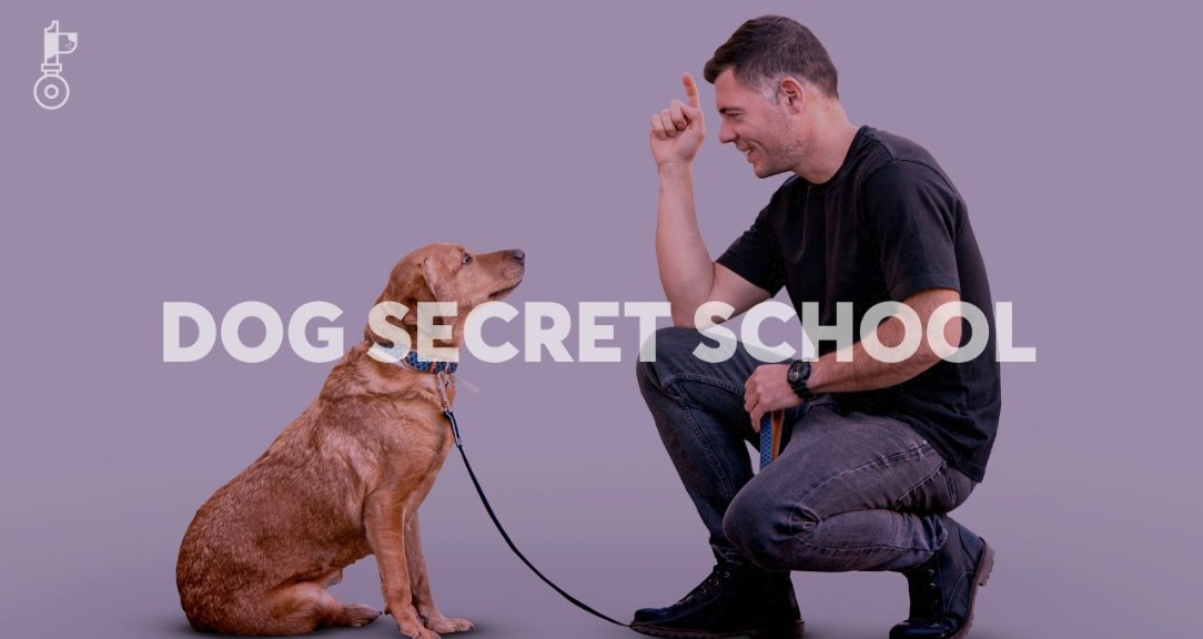 Ανεπιθύμητες συμπεριφορές στο σπίτι. · Dog Secret School