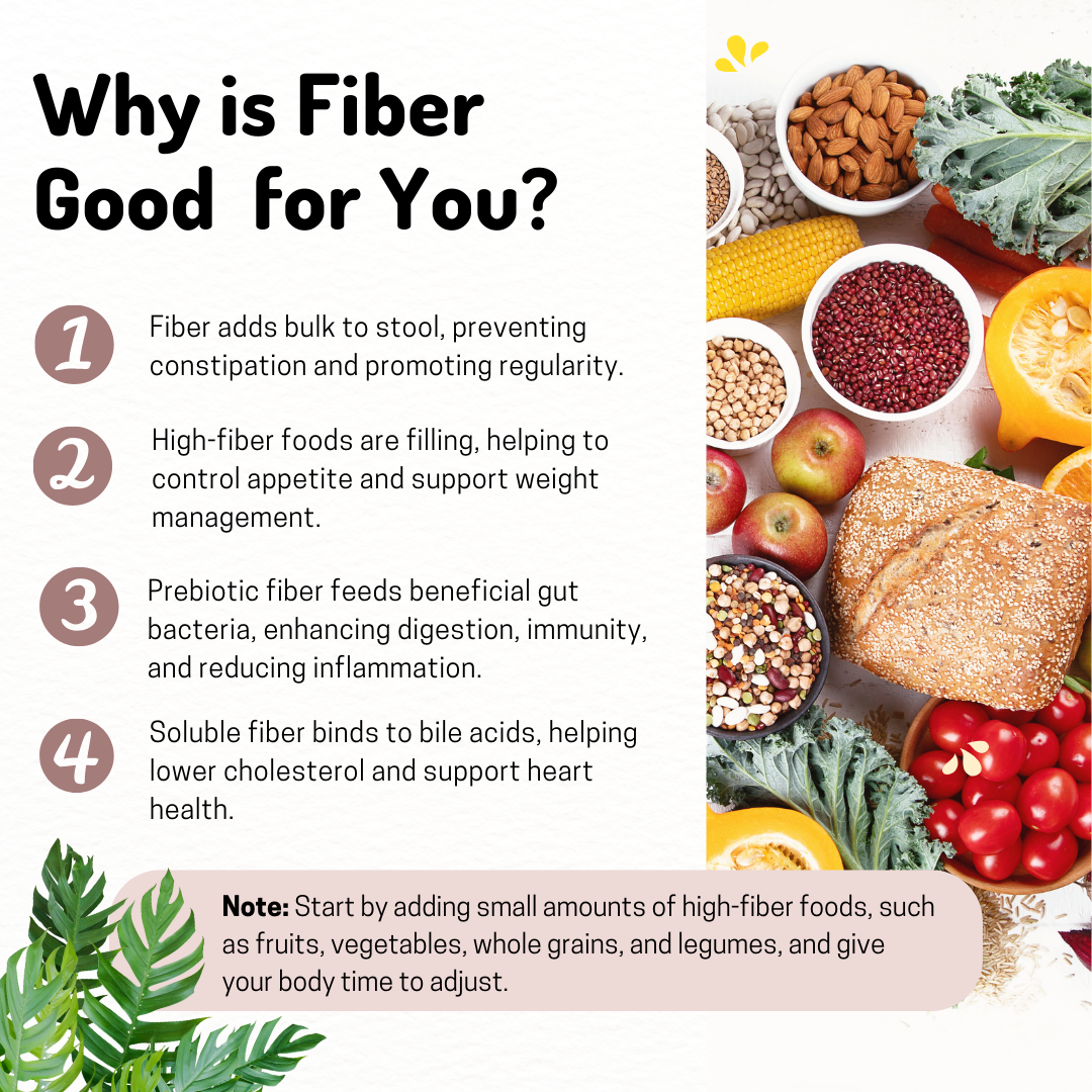 The Power of Fiber (Start Slow!) · FIT N FLO Women Community