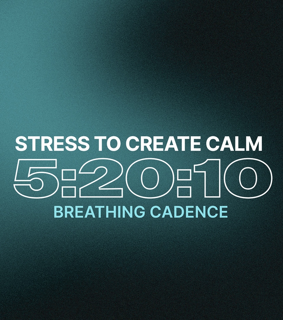 Use Stress to Create Calm (5:20:10) - Case Study Answers · Integrated ...