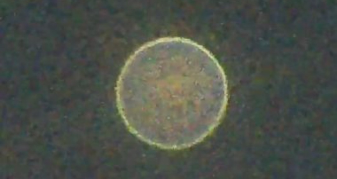 Welcome to the New Jersey Drone Phenomenon Community · Uncensored UAP News