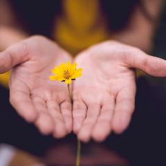 Mariel Hernández Camacho Hernández