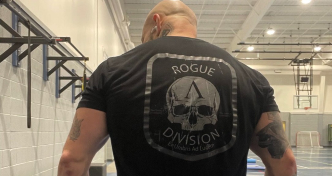 Rogue Division Systems