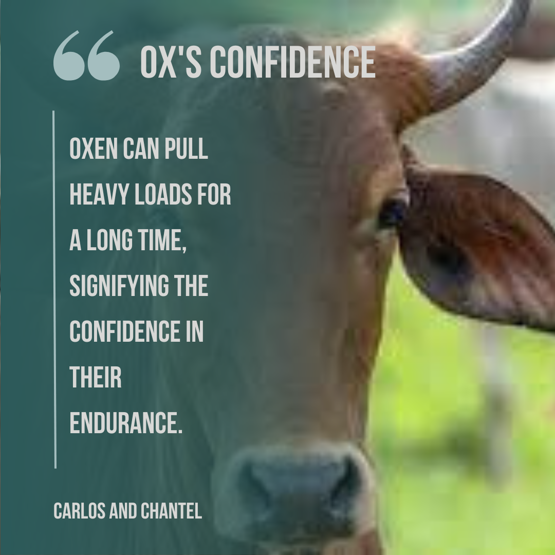 OX Strength · EpicYourLife EpiCenter