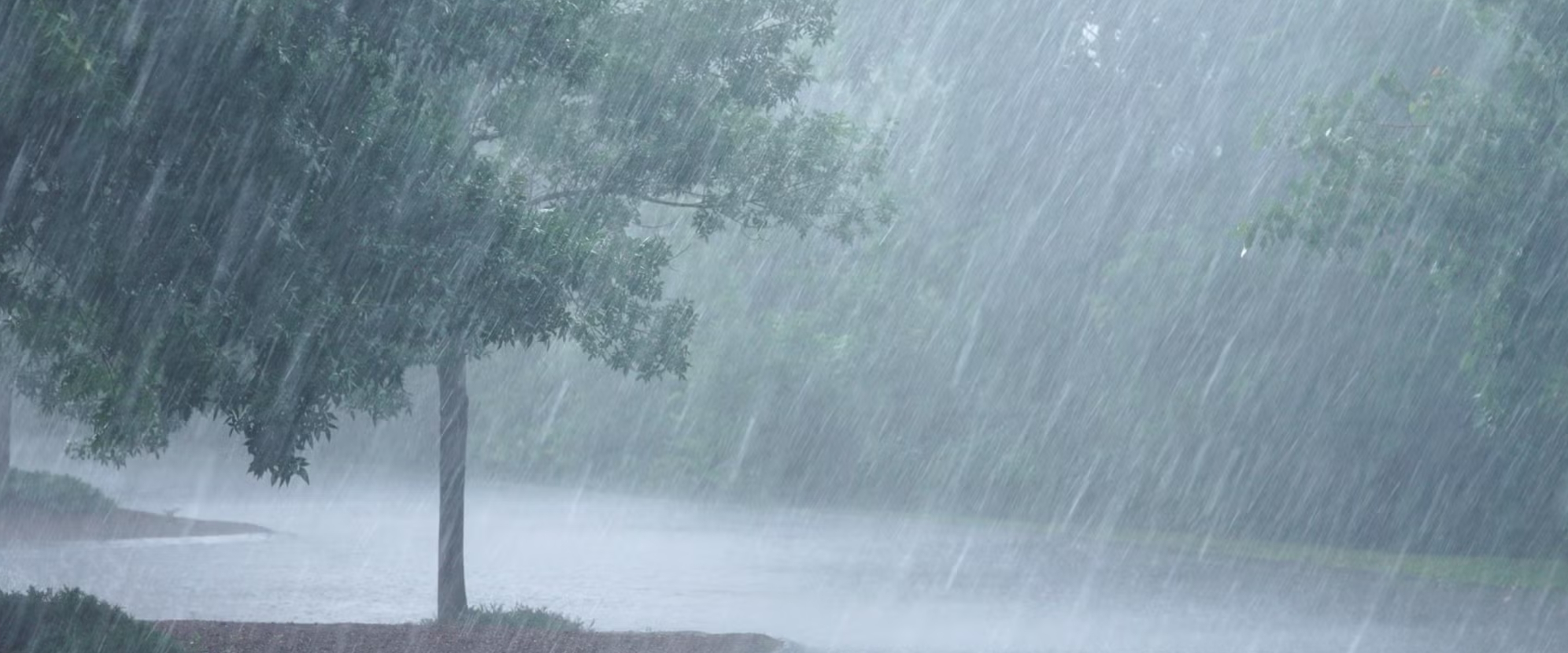 Rain Work · Goddess Society