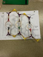 Auto Green v2 Live Gameplay · Lethal Panda Basketball