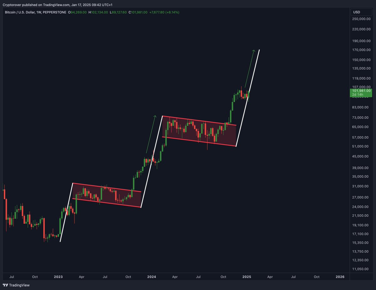 BITCOIN BULL FLAG.👇🔥 The pump is going to be legendary! · 12 Months To ...