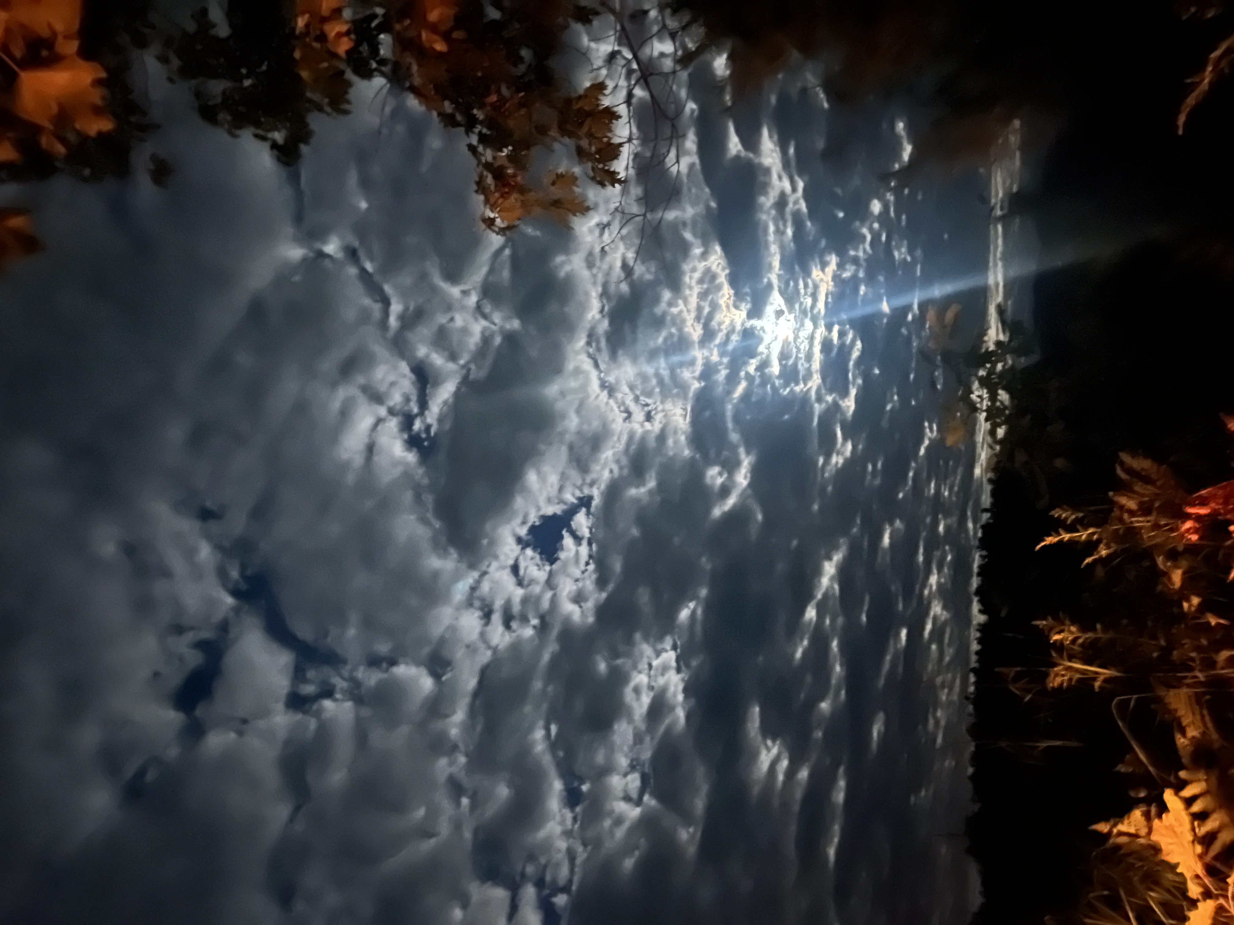 The Indigenous Art of Star-Gazing by Navigating the Night Sky ...