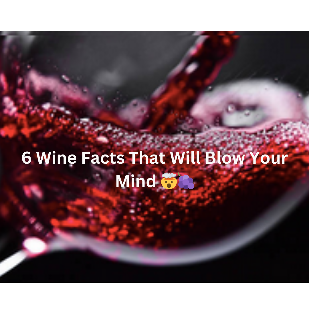 рџќ 6 Things You Didnвђ T Know About Wine That Will Blow Your Mind рџ їрџќ