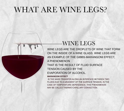 🍷 The Myth of “Wine Legs” · Wine Ambassador Community