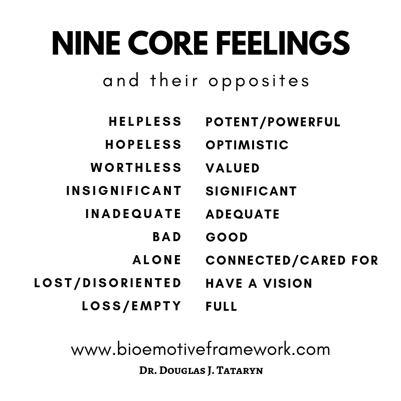 the 9 core feelings (bioemotive · Don't Waste Your Precious Life