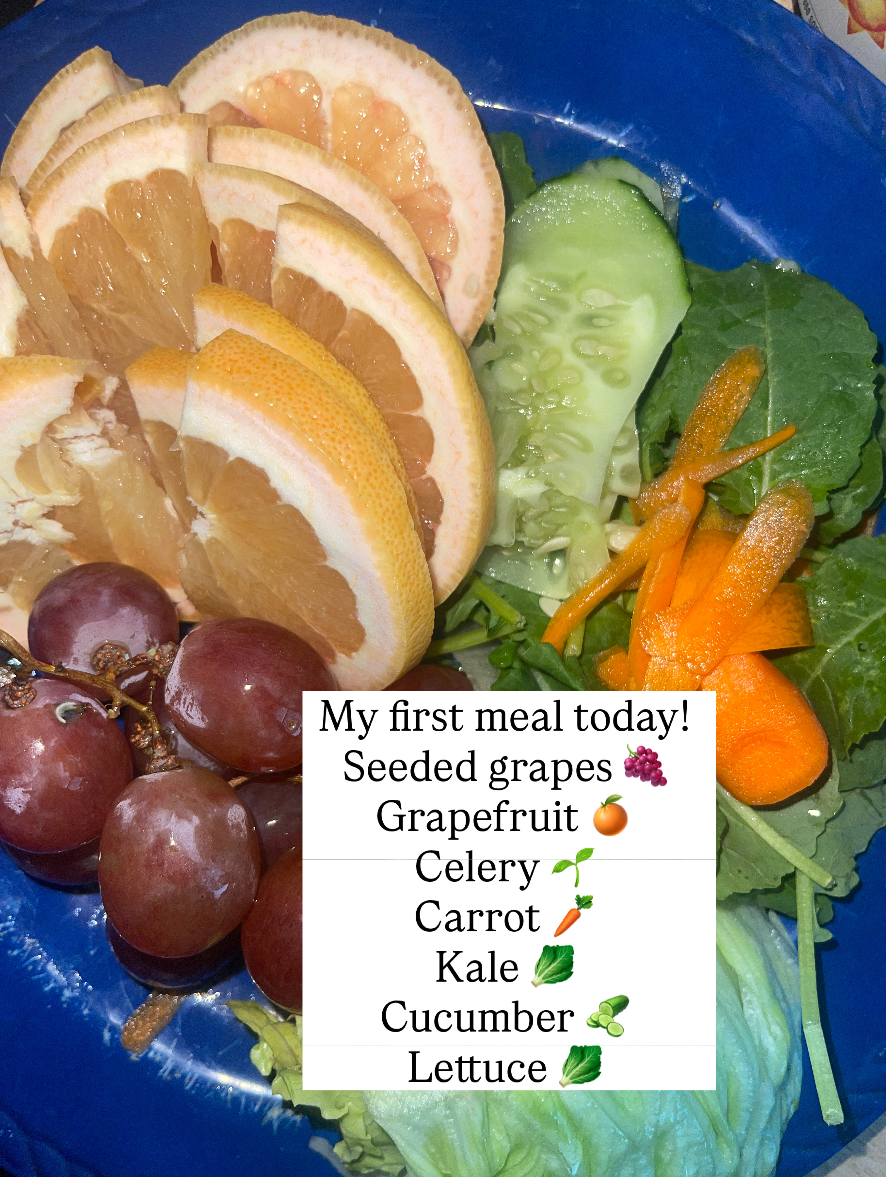 My first meal! · Amazing Plantzformerz VIPs