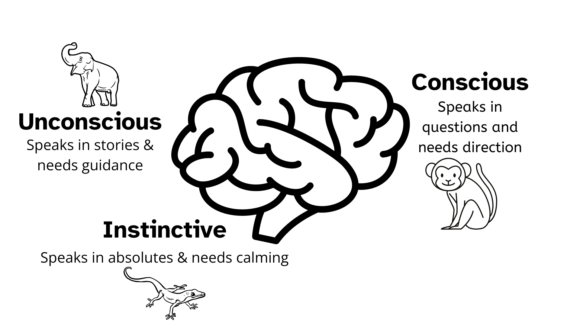 Brain Force · Selling Online / Prime Mover