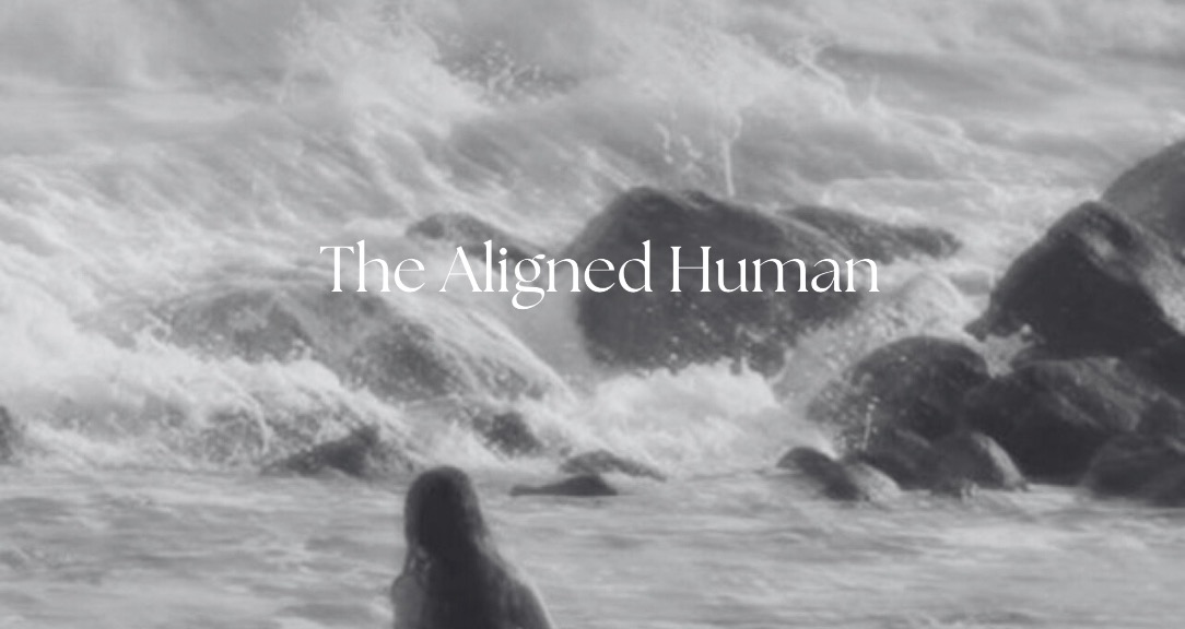 Welcome🫶🏻 · The Aligned Human
