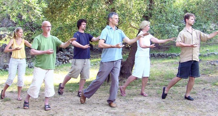 Medical Qigong