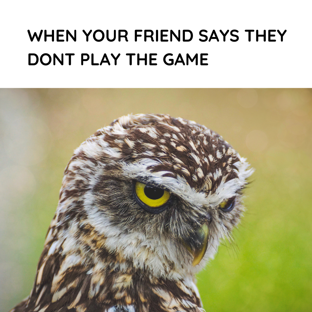 THANK YOU - 🔵 Profile Picture Frame 🔵 · The IRL Game 🌎