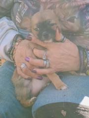 Cathy Shields Mckinney