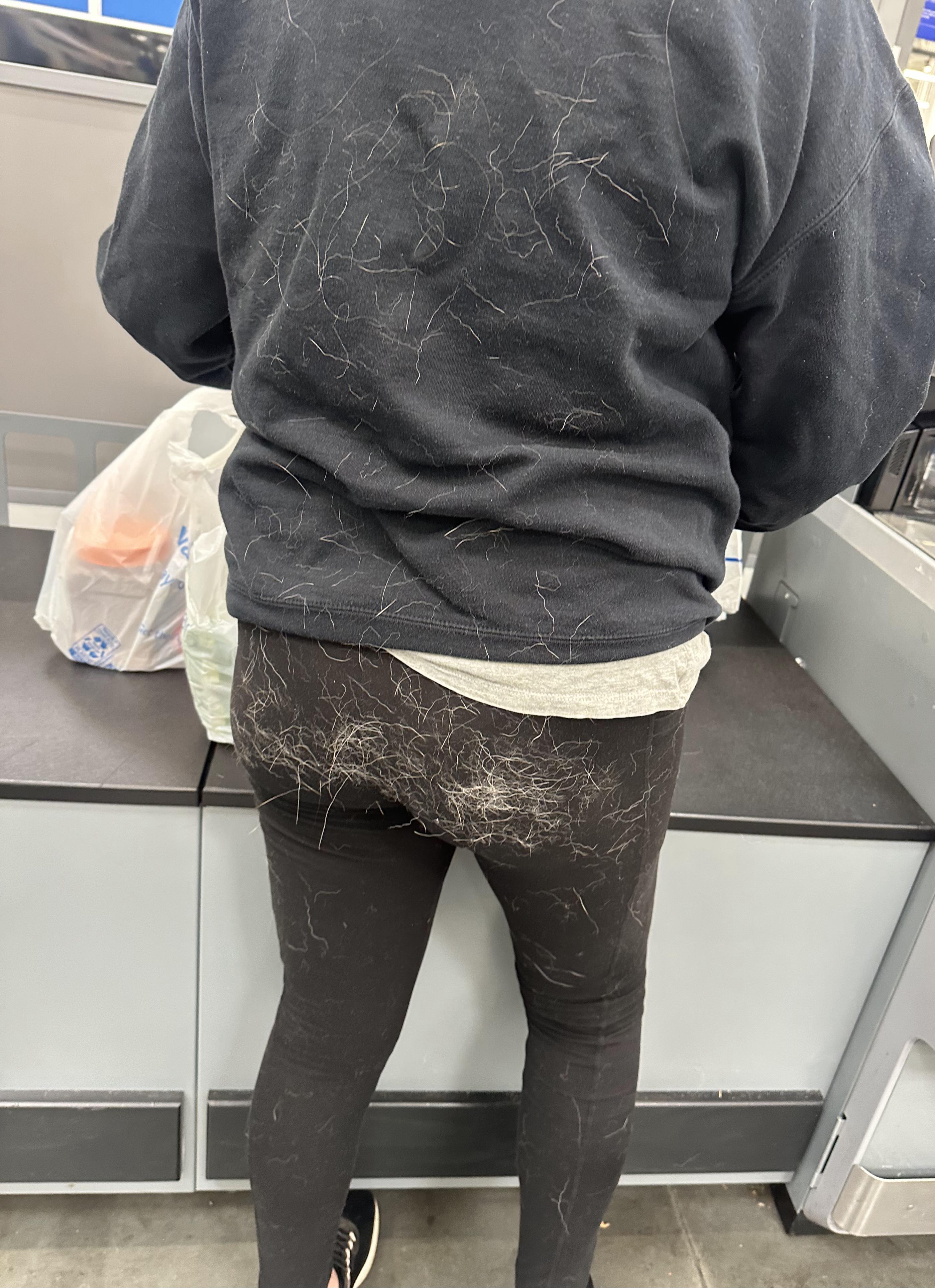 Wardrobe fail · REACH K9
