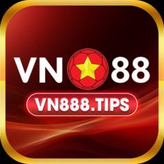 VNvn Tips