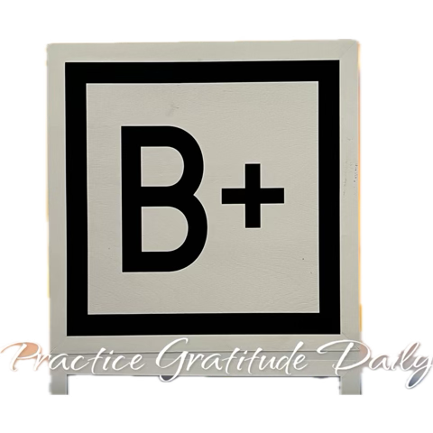 Introduction · Total Self Mastery Coaching