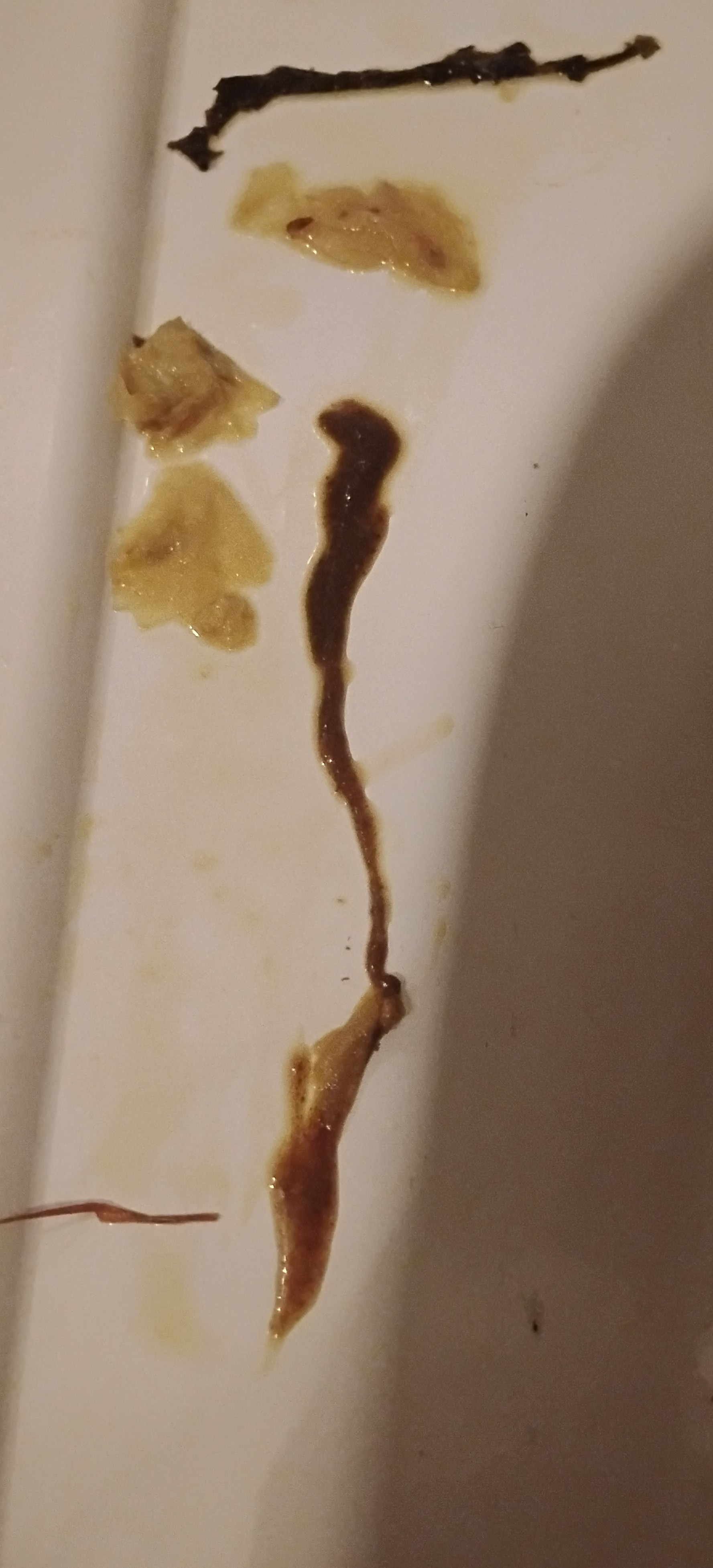 Back to expelling rope worms again · Chlorine Dioxide Testimonies