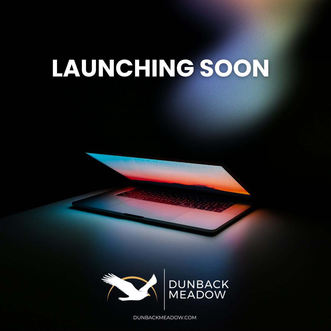 Dunback Meadow - Marketplace for AI agents & other digital assets · AI ...