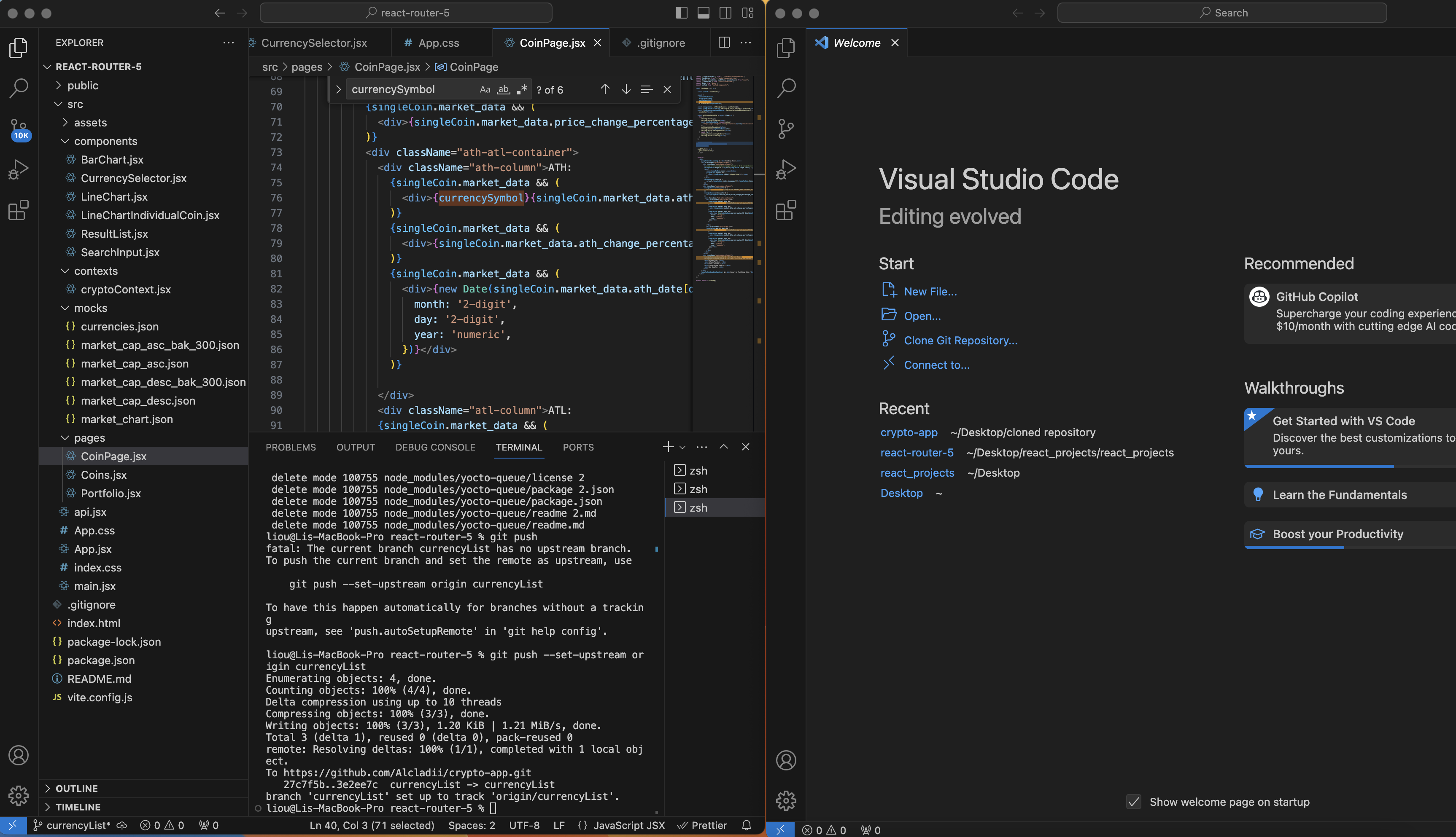 What to copy and paste · Developer Pro