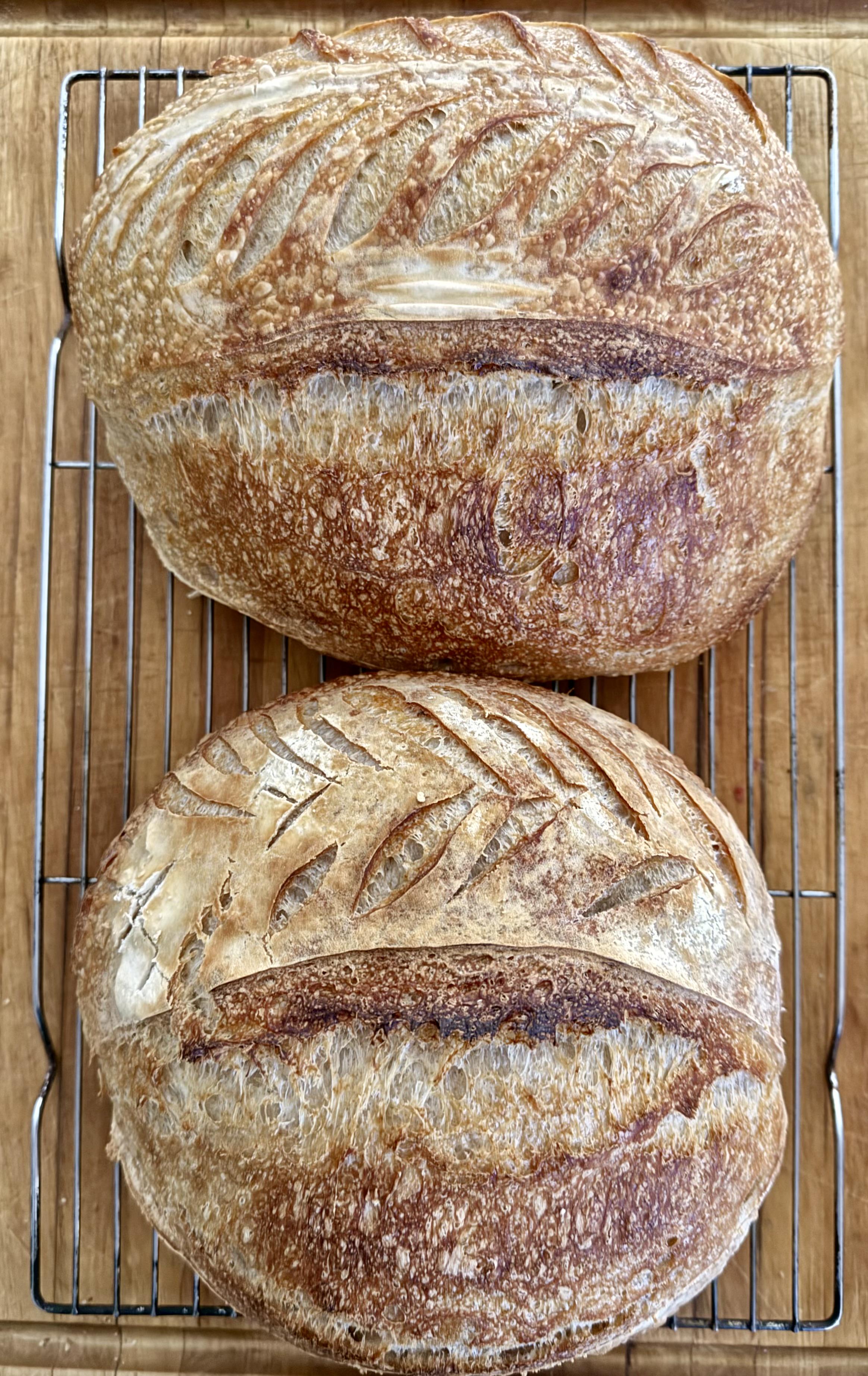 Sourdough bread with 70% hydration · Crust & Crumb Academy