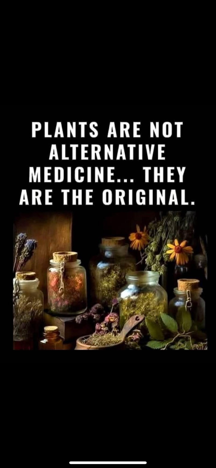 Original Medicine · Holistic Thriving Community
