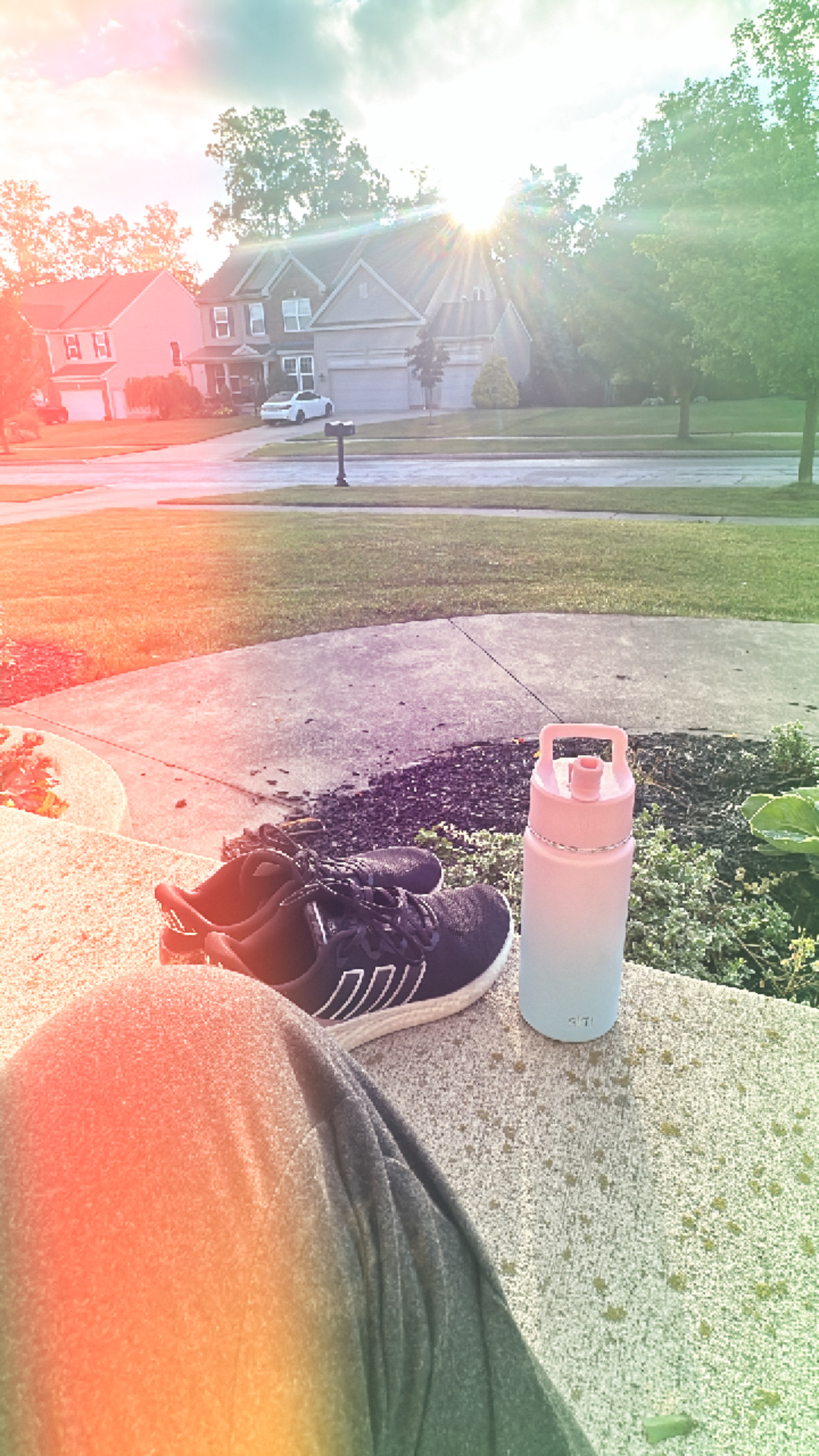 ☀️ · Freedomology