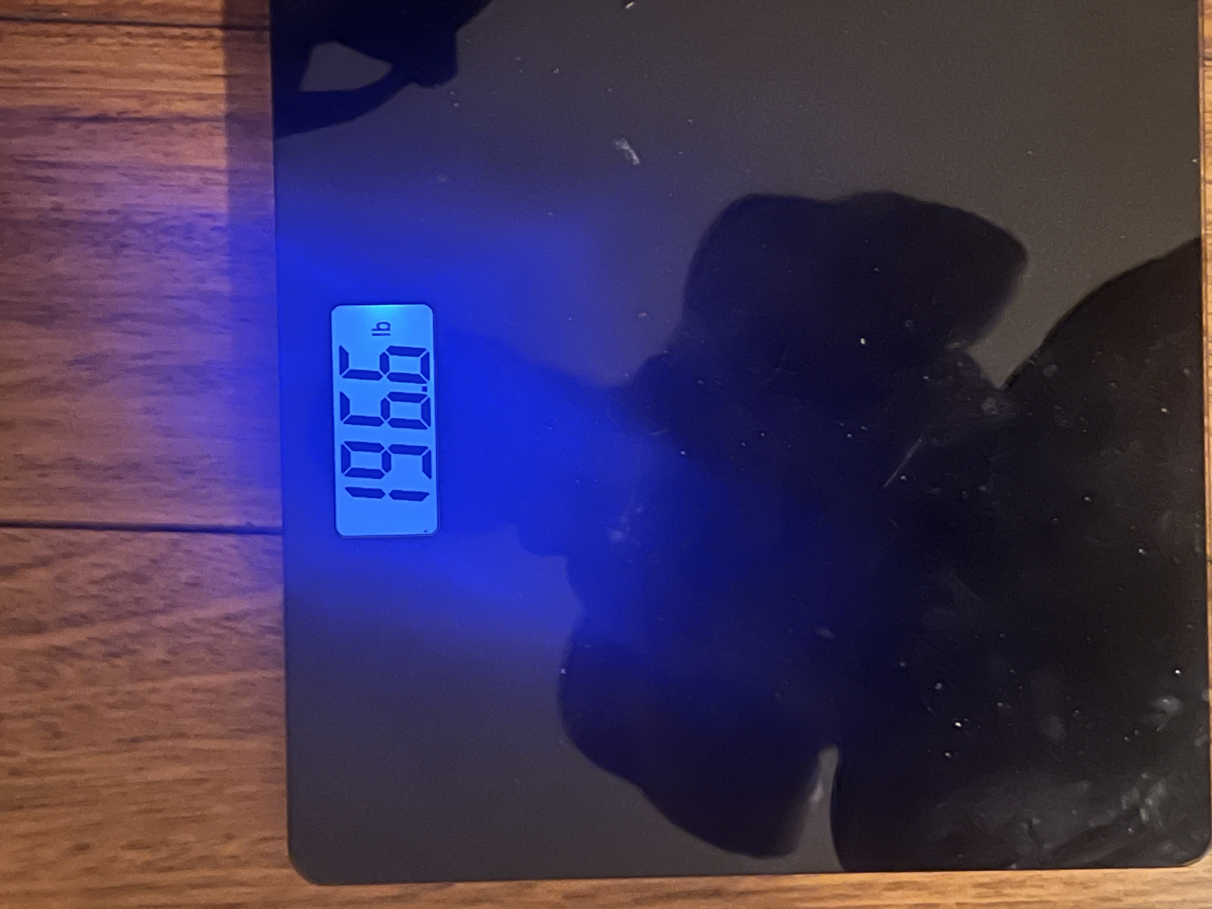 Day 26 · Base Alpha