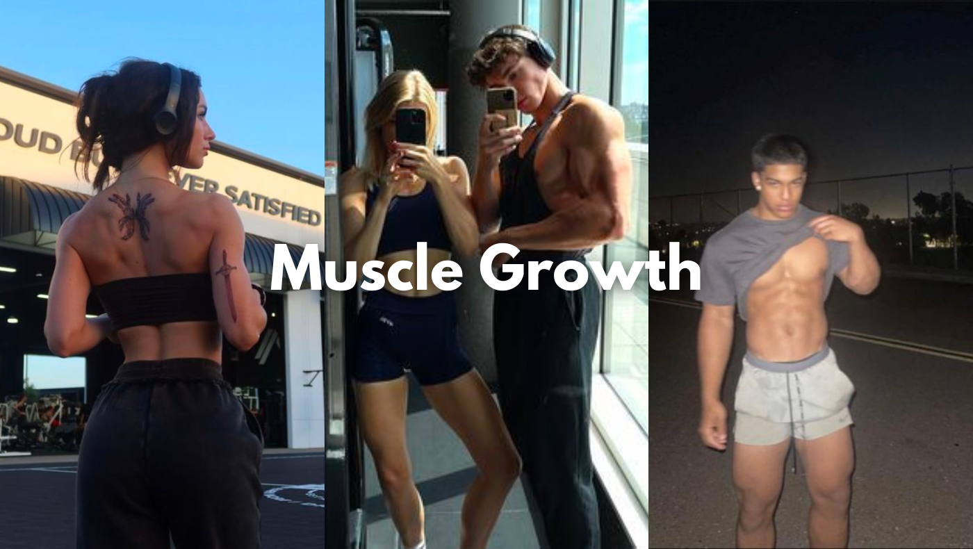 Muscle Growth