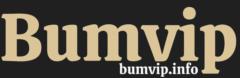 Bumvip App