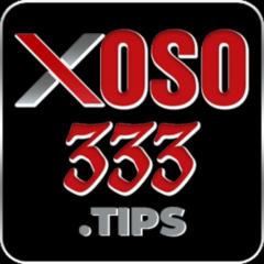 Xoso Training