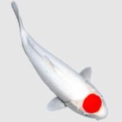 Pondex Perts
