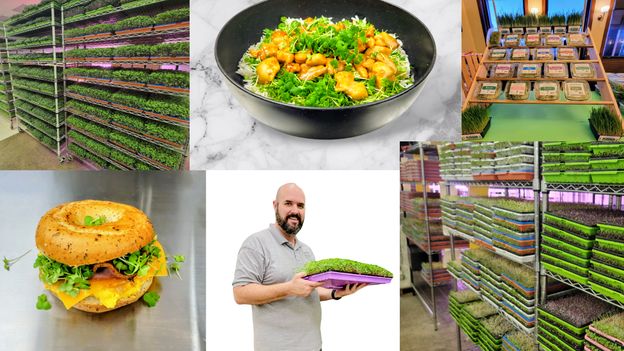 Microgreens Business Coaching