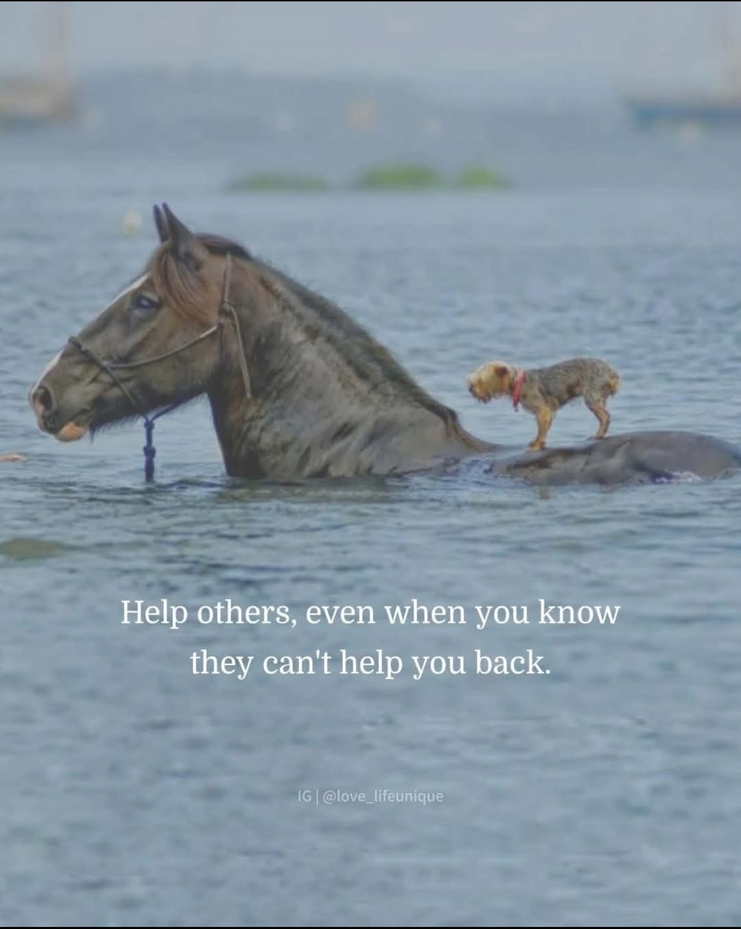 Help Others Even When You Know They Can't Help You Back · Community ...