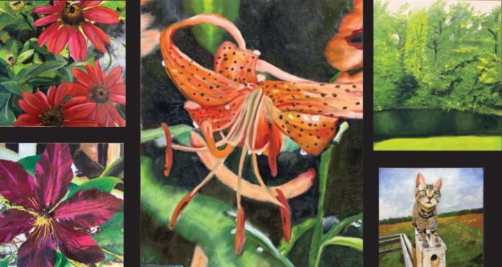 What do you see in this photo? · Painting for Drawing Dropouts
