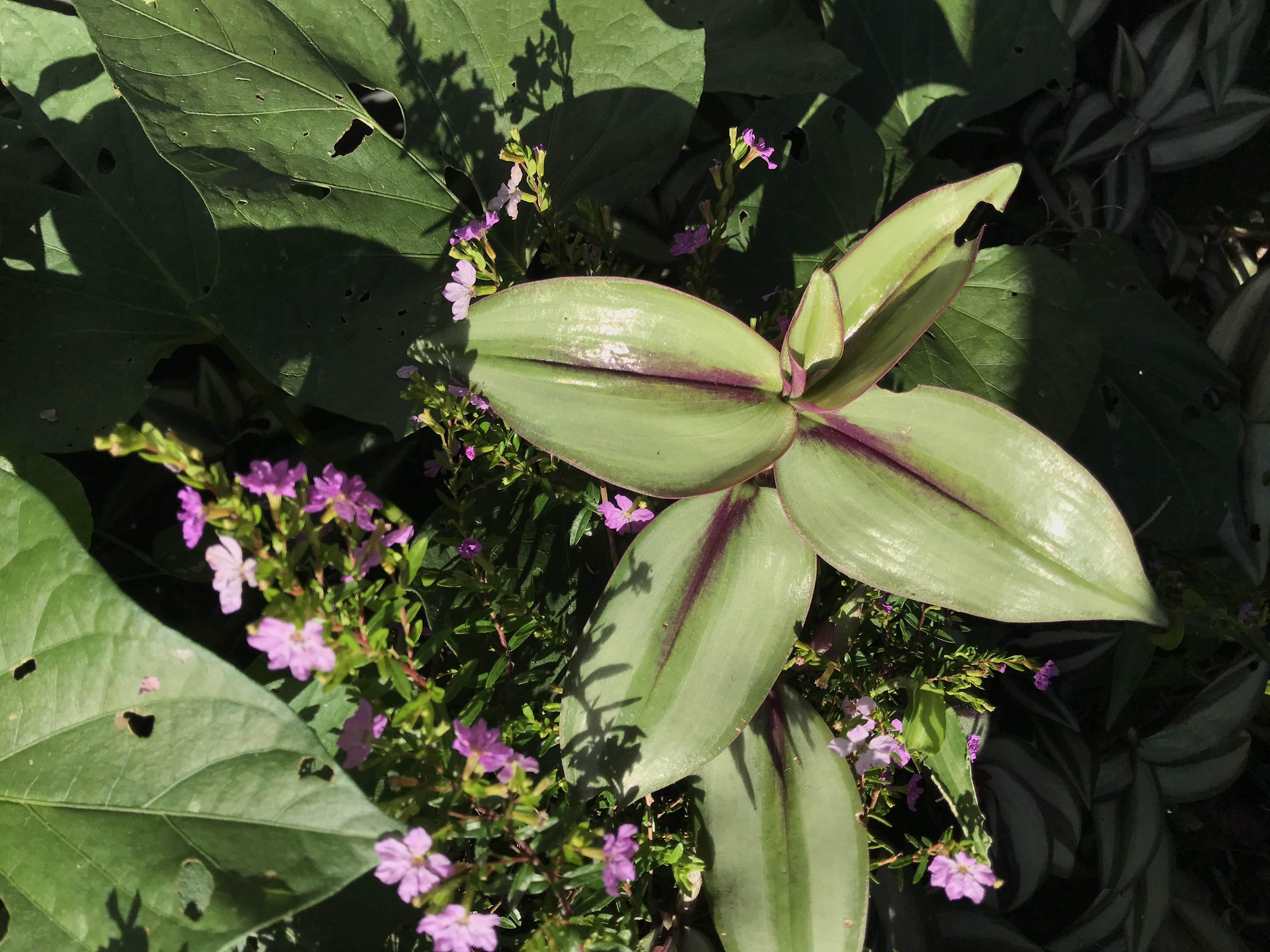 5min/wk FIRST EASY WIN · GROWTH ARTISTS