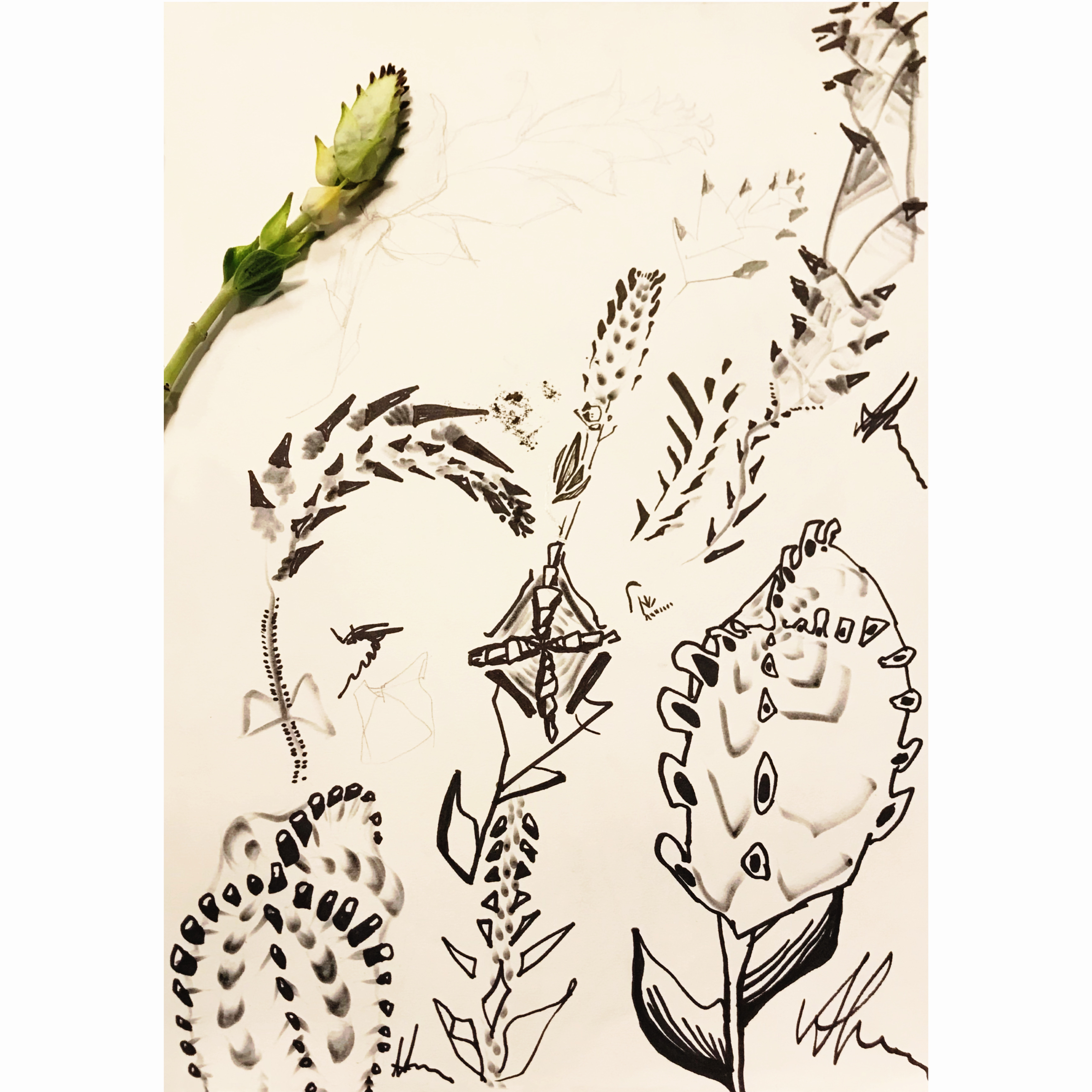 Want to be an Expressive Artist? · GROWTH ARTISTS