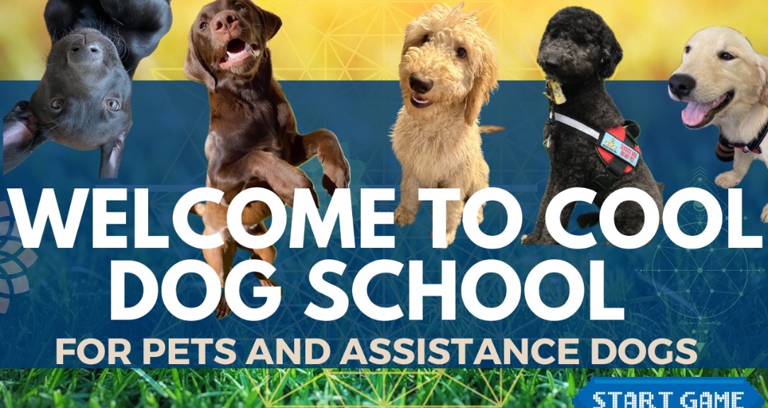 ASA Cool Dog Training Skool