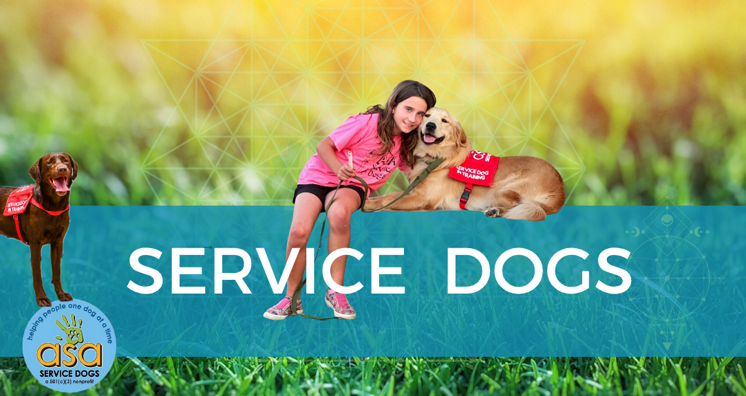 Service Dog School & Community Available Now! · Cool Dog Skool