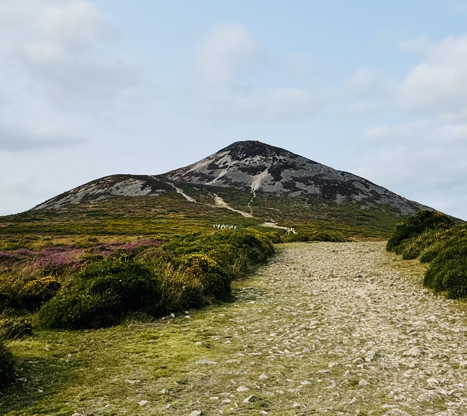 Surarloaf Mountain · Better Body Transformation